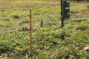 【電気柵 アース】アースは必要？仕組みやよくあるお問合せをご紹介 | 放牧と電気柵の情報サイト by ファームエイジ